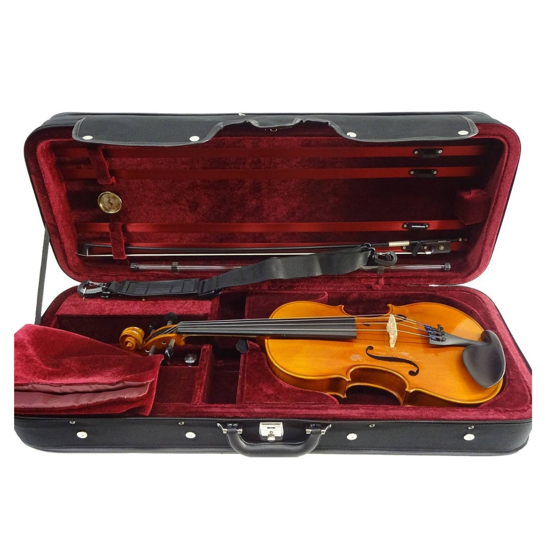 Set Bratsche David Lien Professional B antik – 15''/16'' inkl. Koffer ...